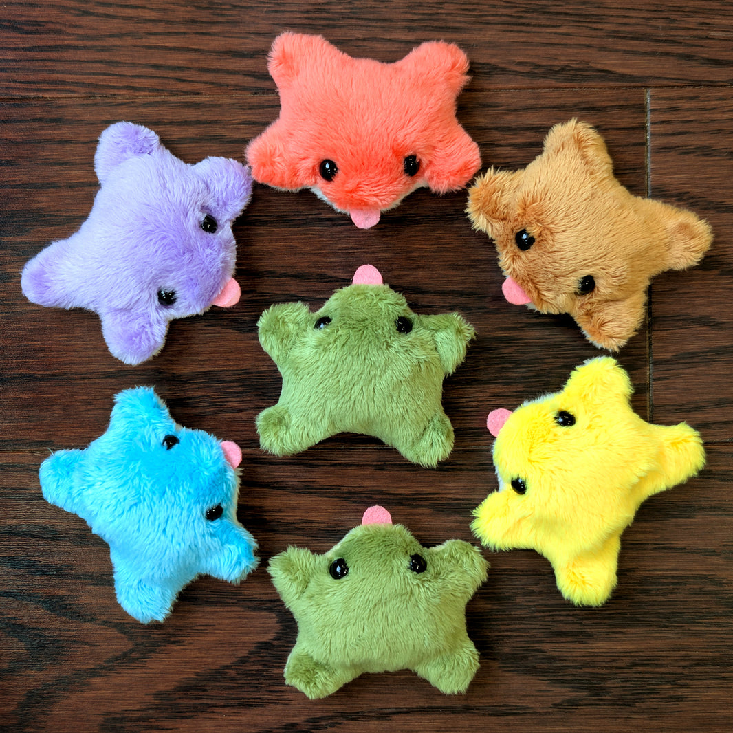 New & Featured – JelArts