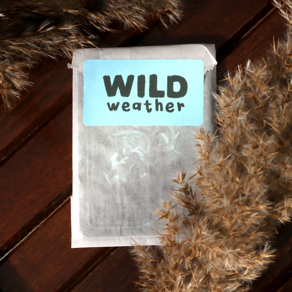 Wild Weather - Trading Cards – JelArts