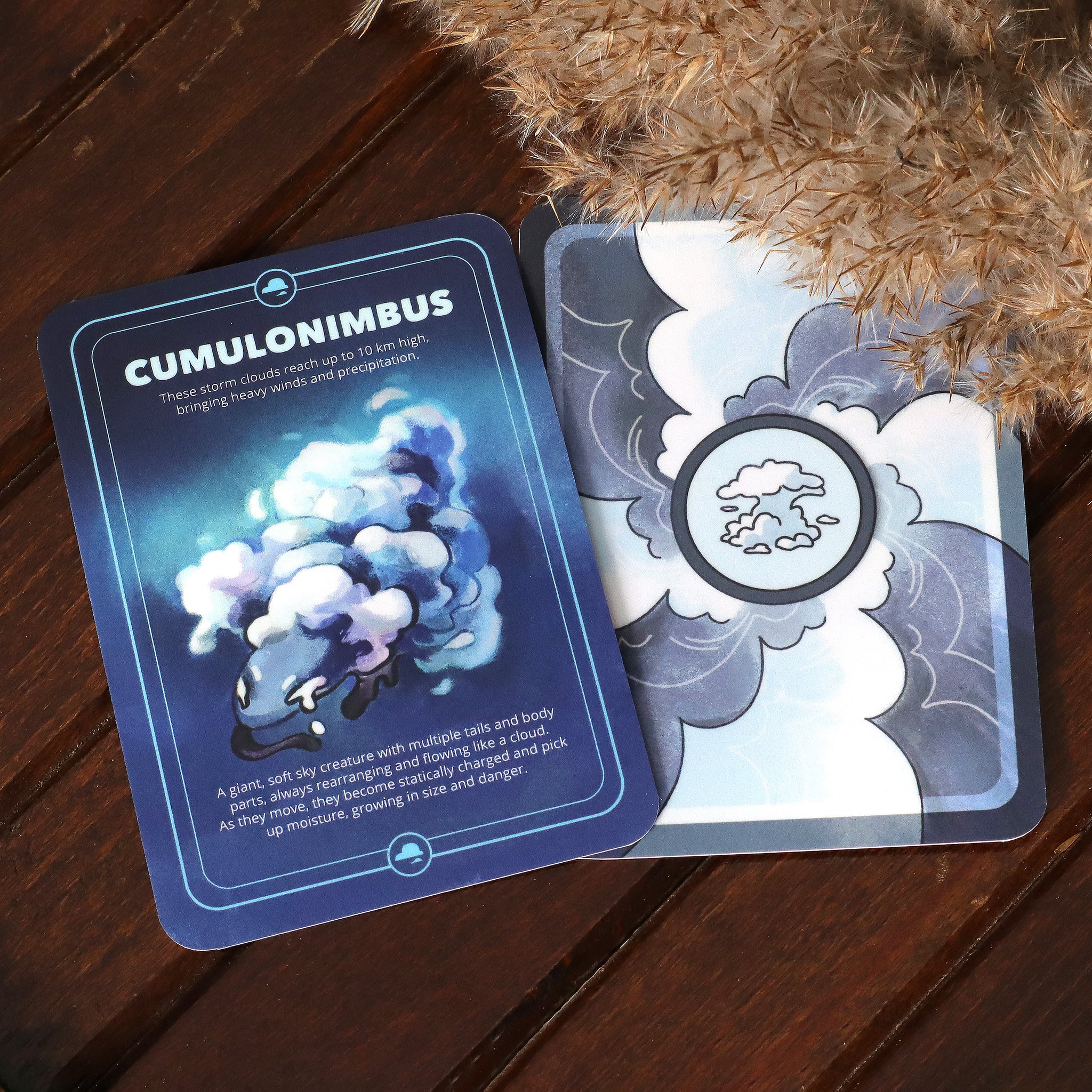 Wild Weather - Trading Cards – JelArts